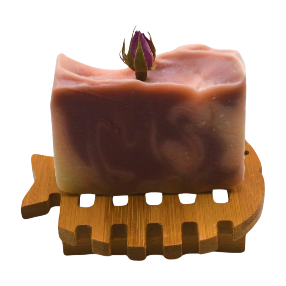 Fish Shape Soap Dish | Eco Friendly | Damn Fyne Soap
